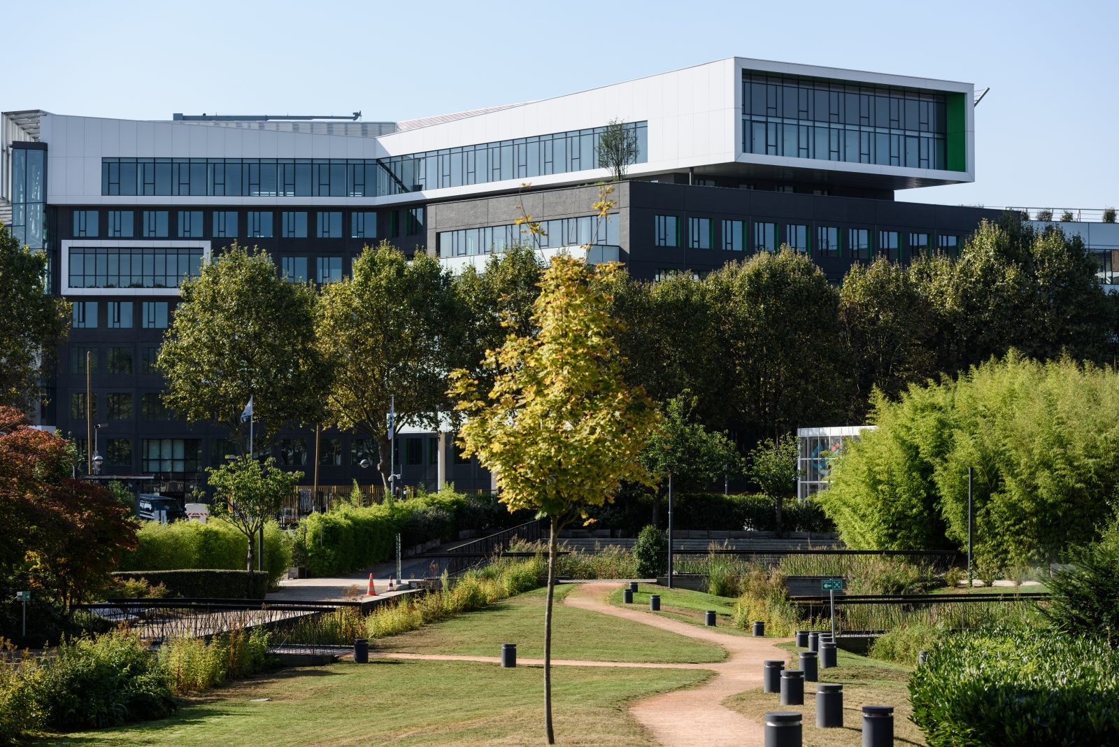Garder la ligne : l’animation de la ligne formation ! - Ifcam